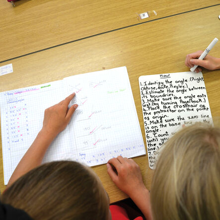 TTS Superlight Mini Whiteboards Portrait Lined | Whiteboards ...