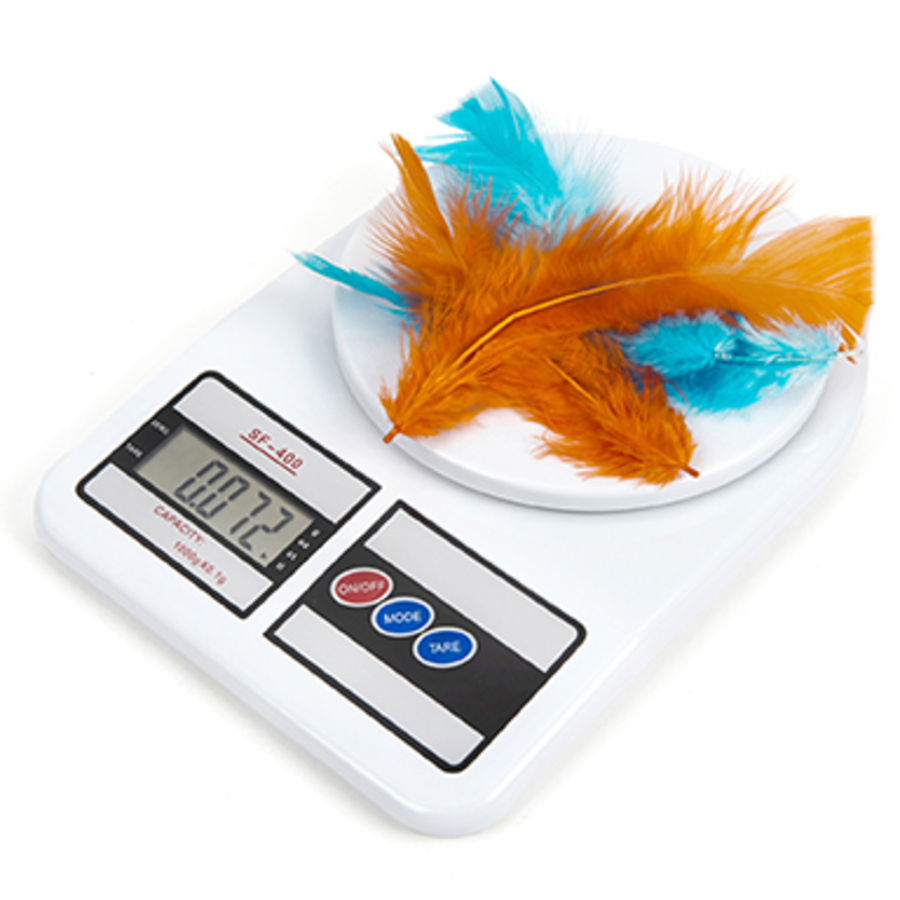 Buy Super Accurate Digital Science Weighing Scales | TTS