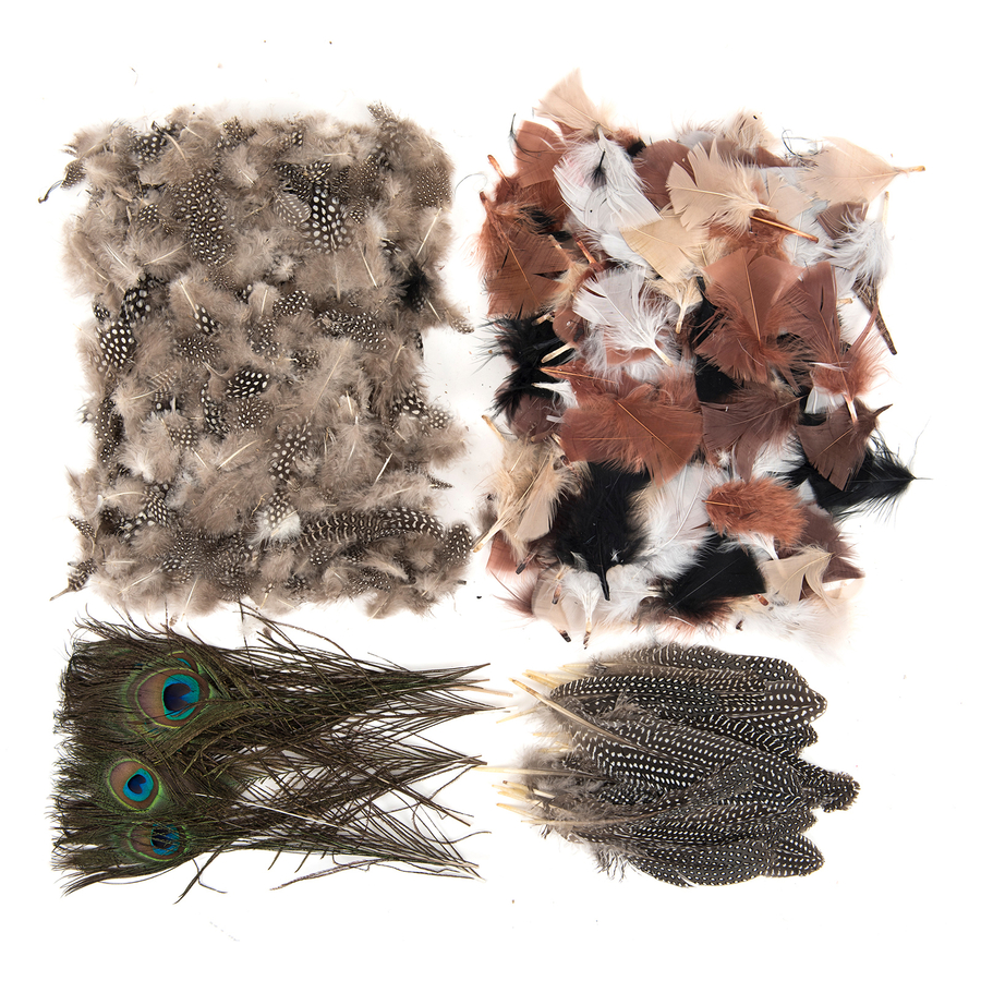Buy Feather Pack Assorted | TTS