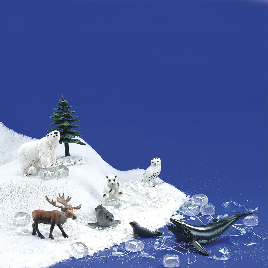 Polar Regions Small World Animal Set 13pcs | Animals, Dinosaurs ...