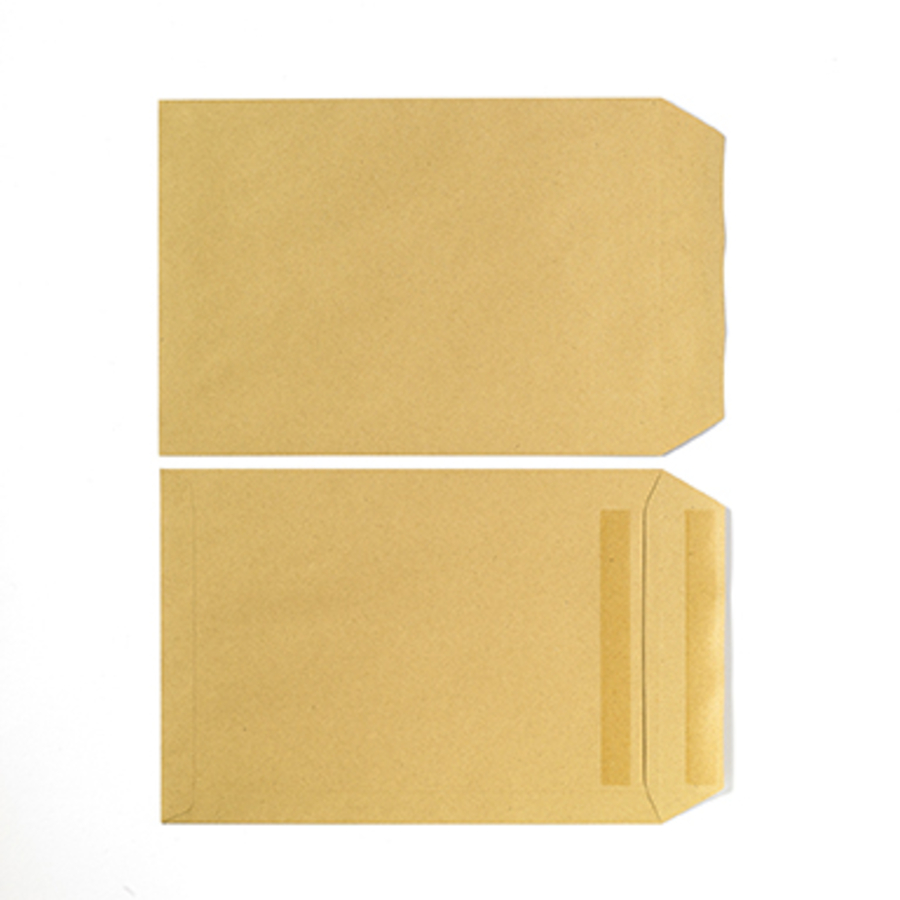 Self Seal C4 Envelopes 250pk 324 x 229mm | Envelopes | TTS